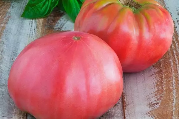 Tomater Hybrid.