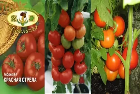 Hybrid vegetable