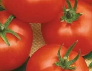 Description de la variété de Tomato Aisberg et de ses caractéristiques