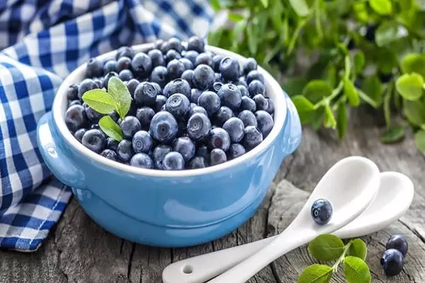 Khov blueberries