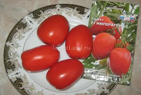 Seeds on a plate