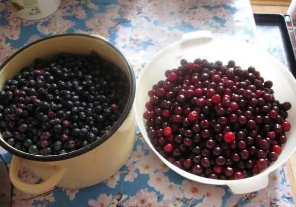 Berries Logħob