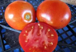 Danasîna Tomareseriya Tomato ya Destpêk û taybetmendiyên cûrbecûr