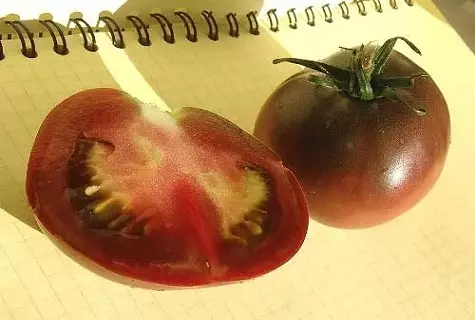 not defteri domates üzerinde