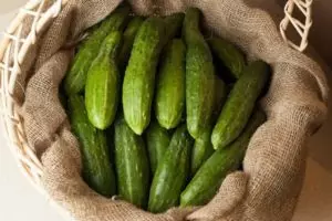 Beschrijving van de komkommers van de graad van het relais, hun cultivatie en opbrengst