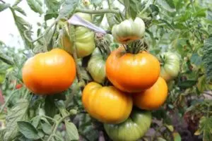 Beschreibung des Goldenen der Tomaten, deren Merkmal und Ertrag