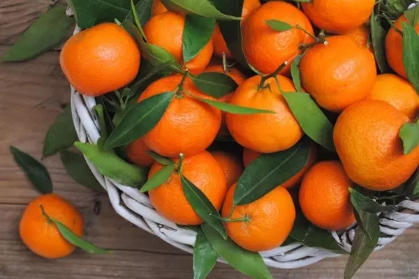 हिवाळा साठी mandarins
