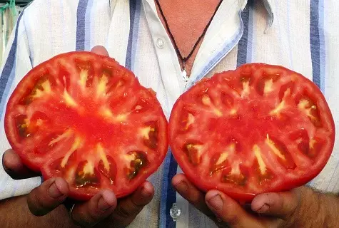 Cut tomaat