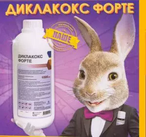 Composición Diclacox Forte, Dosis e Instrucciones de uso para conejos.