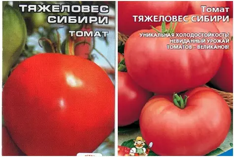 Sjemenke rajčice teškim težinama Sibir