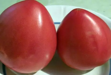 مظهر الطماطم الثقيلة سيبيريا