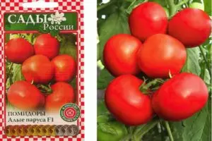 Popis odrůd rajčat Scarlet plachty a jejich vlastnosti