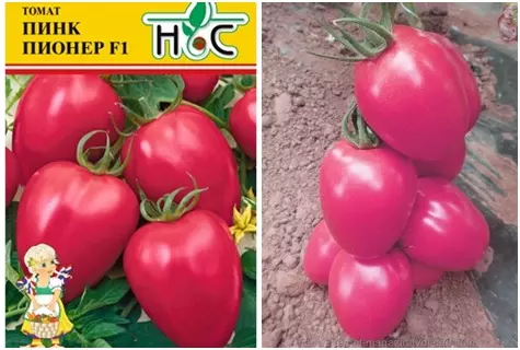 Pomidor tohumy gülgüne pioner