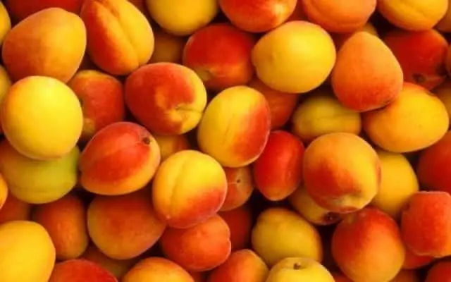 Daghang mga Peach