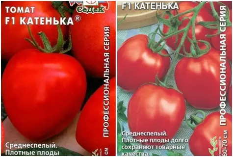 Paradižnikova semena Katenka.