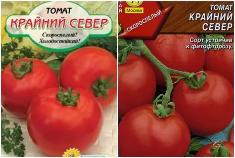 Sementes de tomate extremo norte