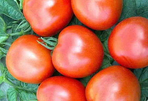 Inkangeleko i-Tomato kakhulu emantla
