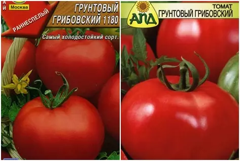 Tomato Somen Gréng Champignon
