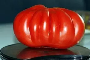Karakteristik dan deskripsi varietas tomat seratus pound, hasilnya