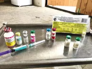 Instrukcje szczepionki z Ropneumonia w koniach i jego kompozycji