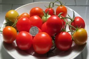 Karakteristik ak deskripsyon nan tomat Schelkovsky bonè