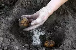 Kartoffel Fiedere Kartoffel monophosphat, Features Funktiounen an Uwendungsregelen