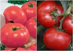 Raksturīgs un apraksts dažādu tomātu lelle f1, tās ražu
