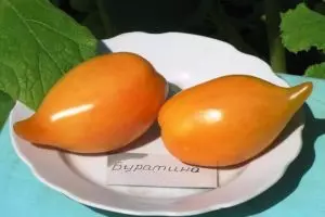 Opis raznolikosti paradajza Pinio, njegova karakteristika i prinos