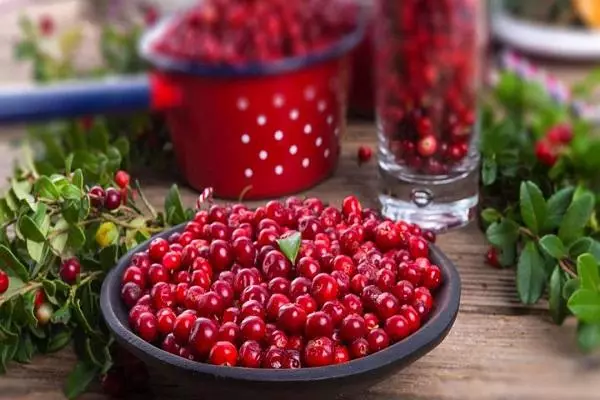Red Berries.
