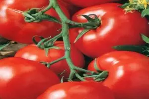 Ciri dan perihalan pelbagai tomato mars f1, hasil