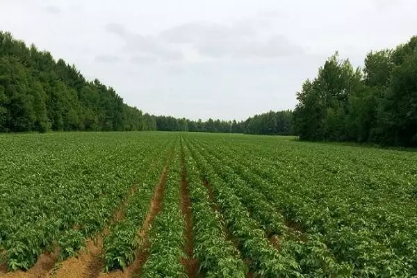 Lipsa de lumină